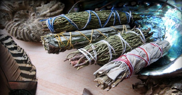 Билкова снопчета